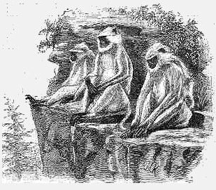 quotes_bandar.htm – The Kipling Society